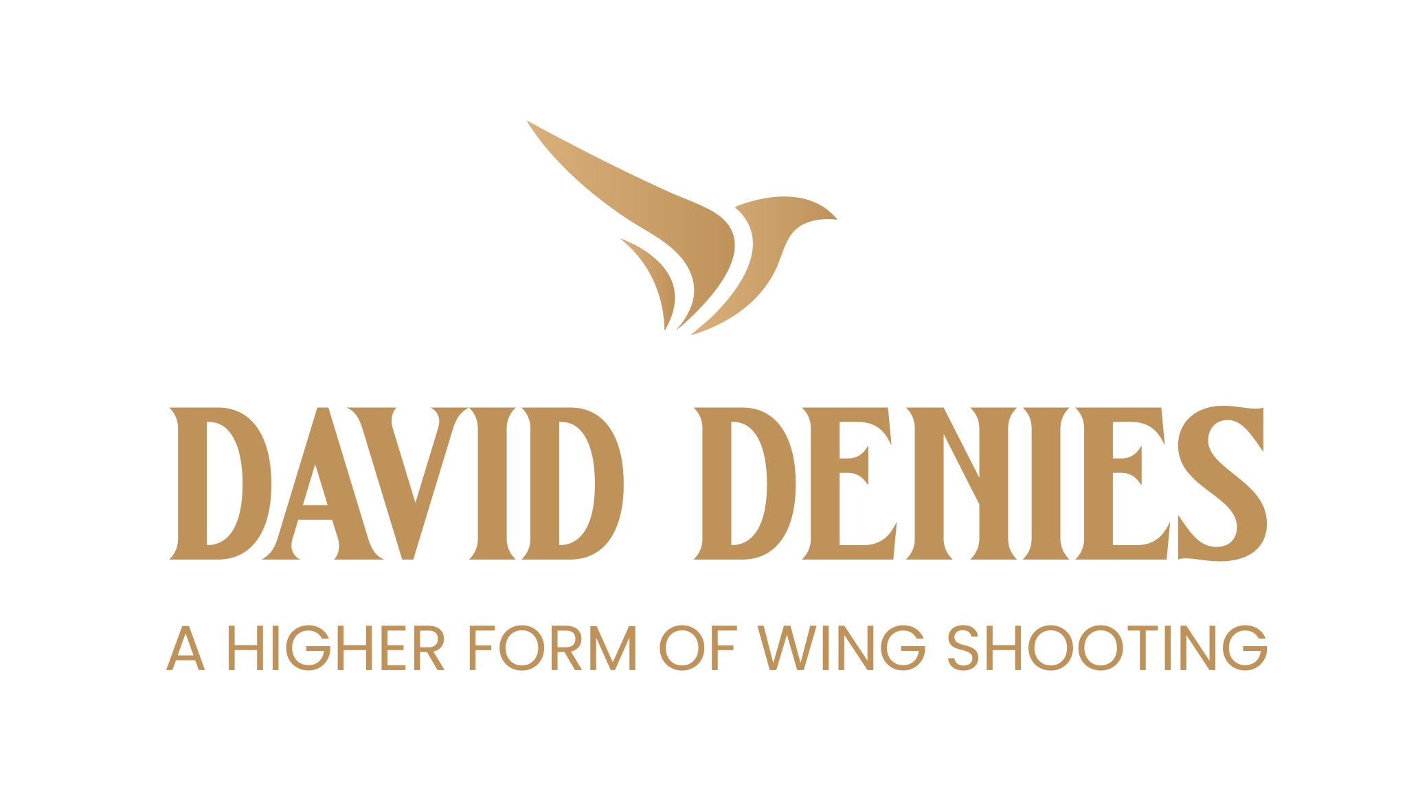 David Denies | Just Cartridges